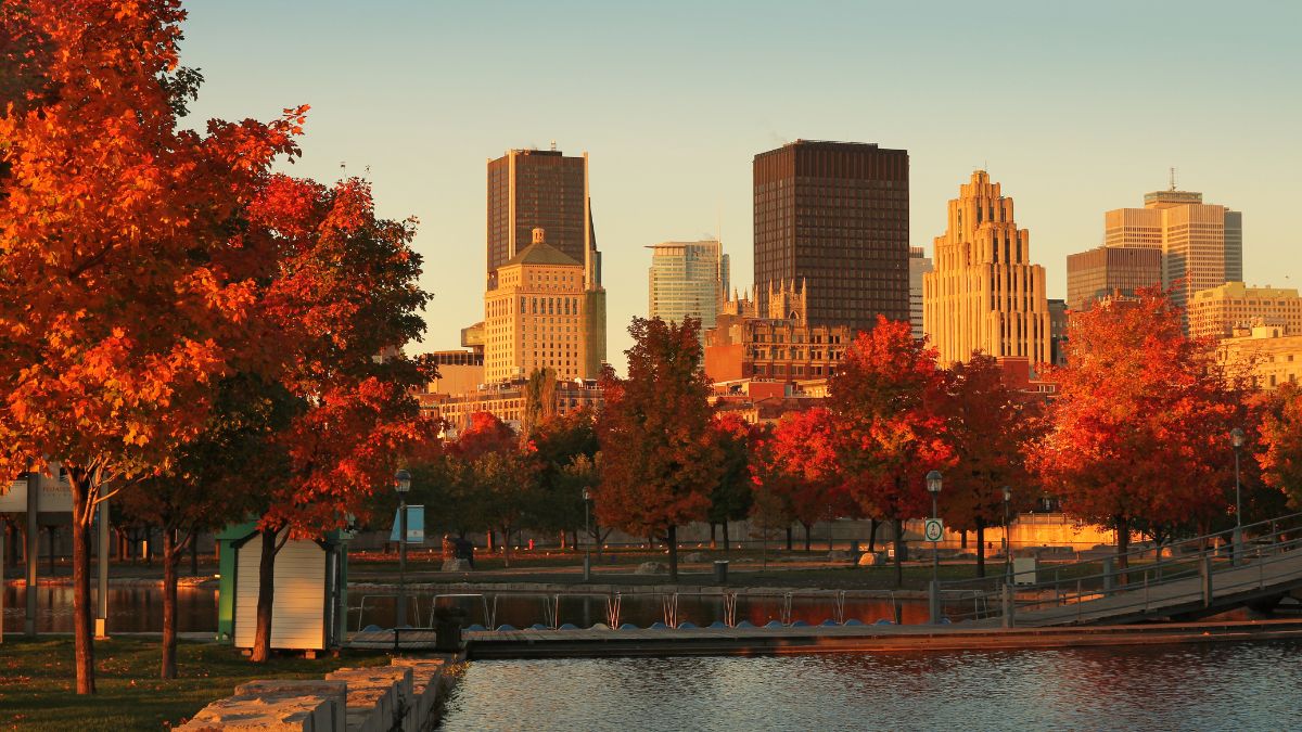 5座加拿大城市介紹與比較，各自治安、人口以及有什麼特色？ - 新飛留遊學中心